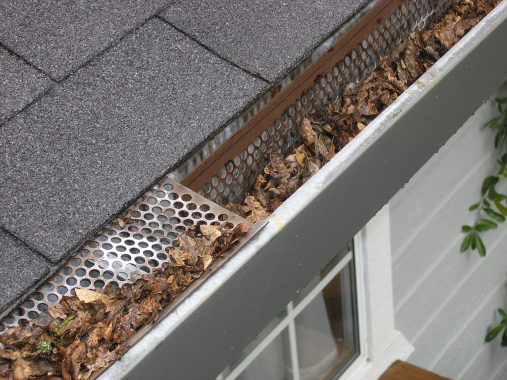 How to Choose the Best Rain Gutters for Your Home: Your Complete Guide